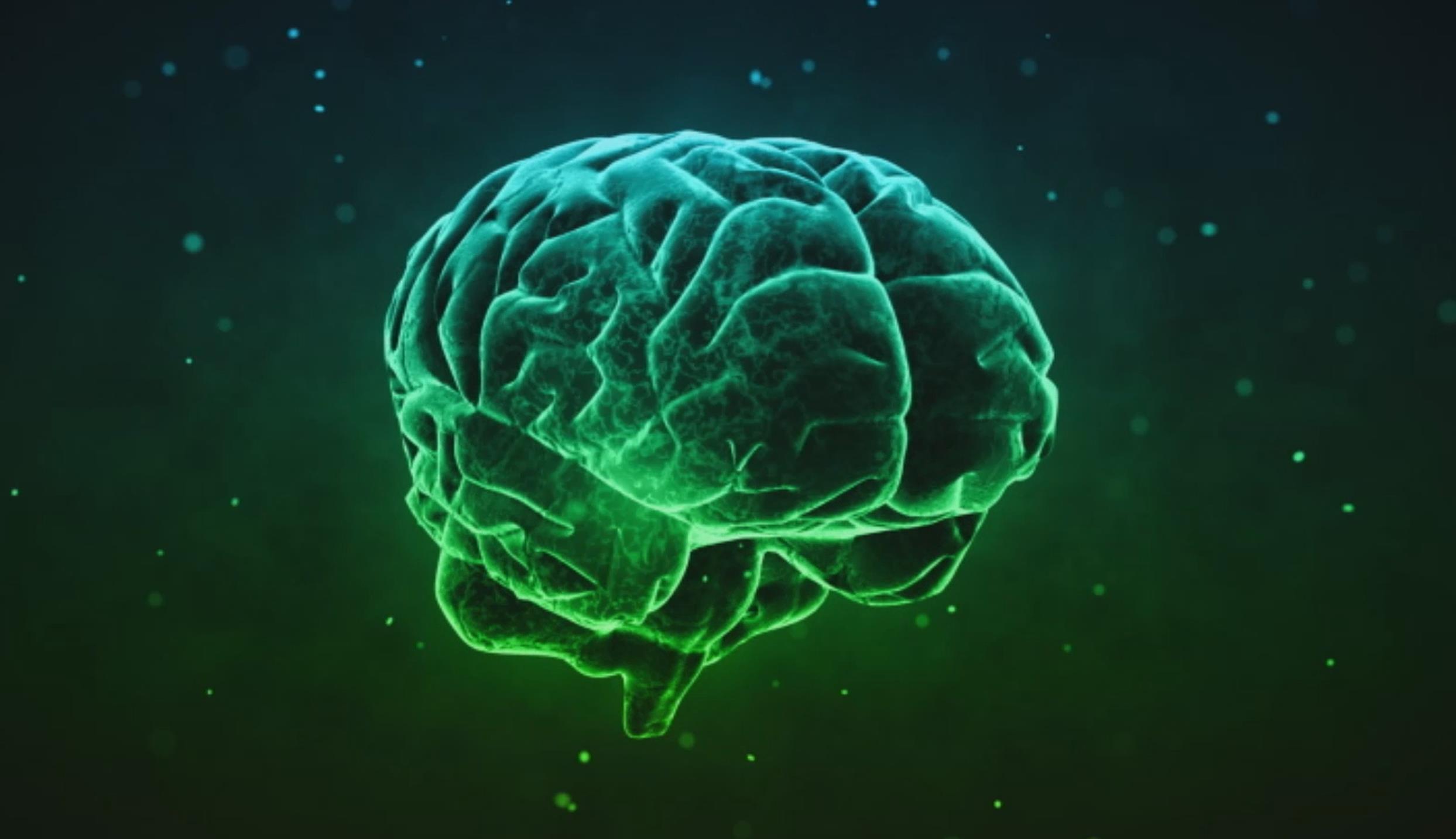 Reductionism In Psychology