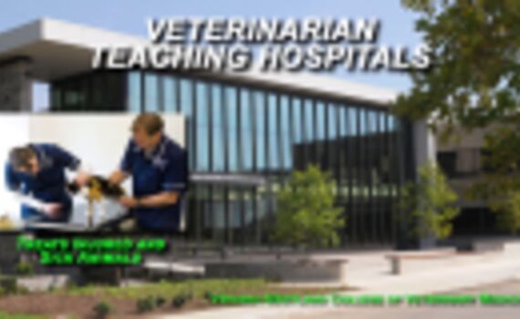 Veterinary Medicine - Fields of Practice - Alexander Street, a ProQuest ...