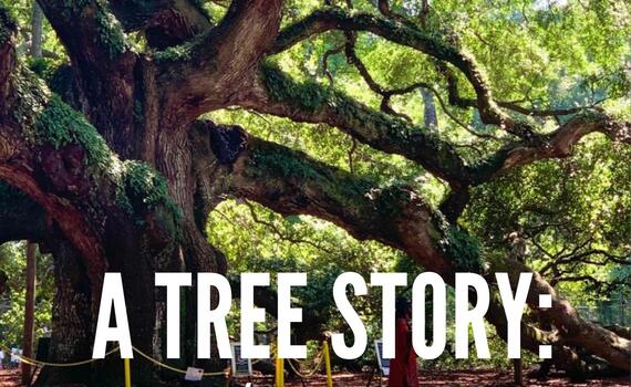 A Tree Story: Gullah / Geechee Roots and Resilience - Alexander Street ...