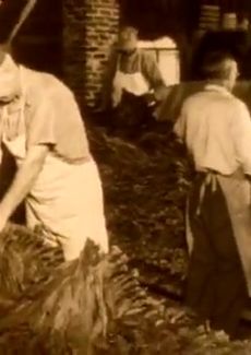 The Split Horn: Life of a Hmong Shaman in America - Alexander Street, a ...