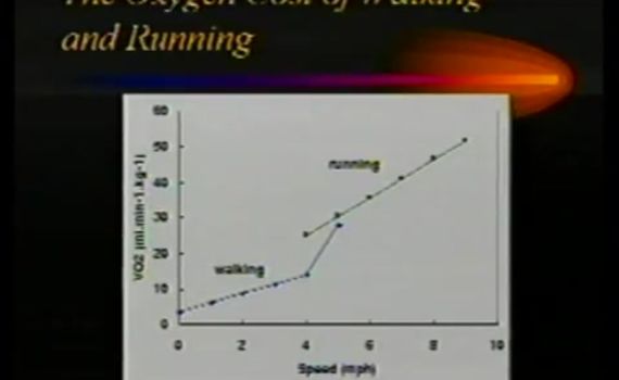 Using ACSM's Metabolic Equations - Alexander Street, a ProQuest Company
