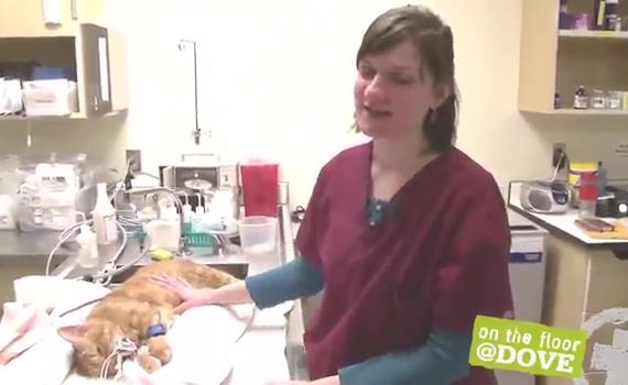 Deobstipation - Alexander Street, a ProQuest Company