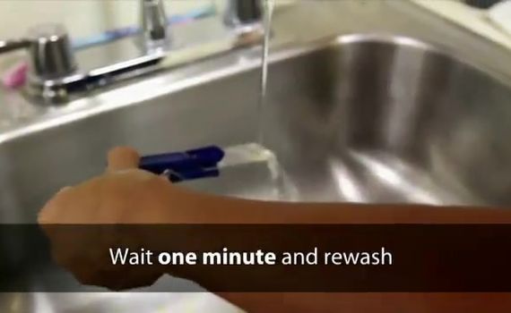 Basic Staining Techniques - Alexander Street, a ProQuest Company