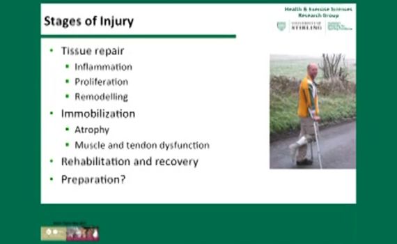 Nutritional Support for the Injured Athlete: A Focus on Muscle and ...