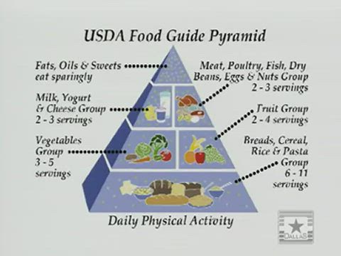 Usda Food Pyramid For Adults