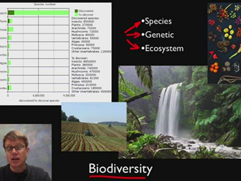Ecosystem Biology