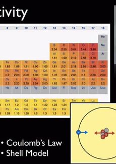 A Beginners Guide to Punnett Squares - Alexander Street, a ProQuest Company