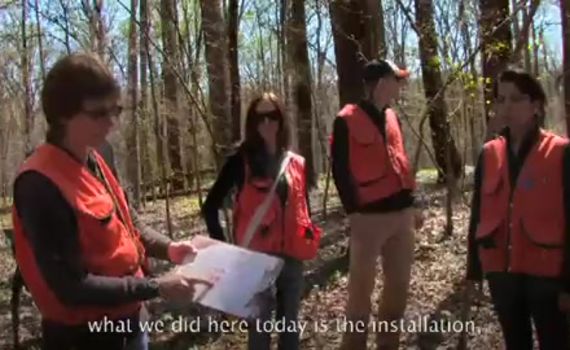 Forests and Climate Change HSBC Climate Partnership Part 2 - Alexander ...