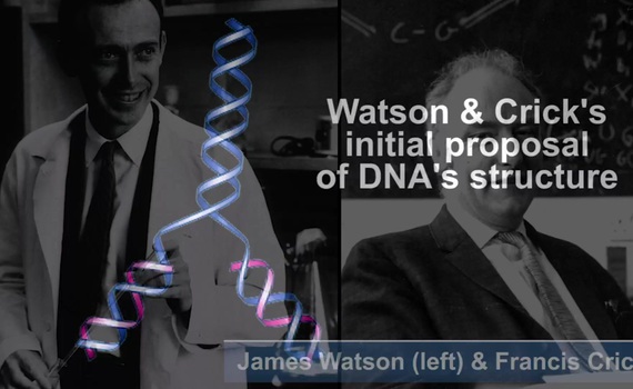 Learn How James Watson And Francis Crick Discovered The Structure Of ...